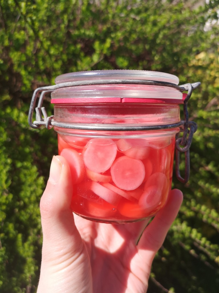 Qu’est-ce que des pickles ? Et comment préparer des pickles à la maison ...