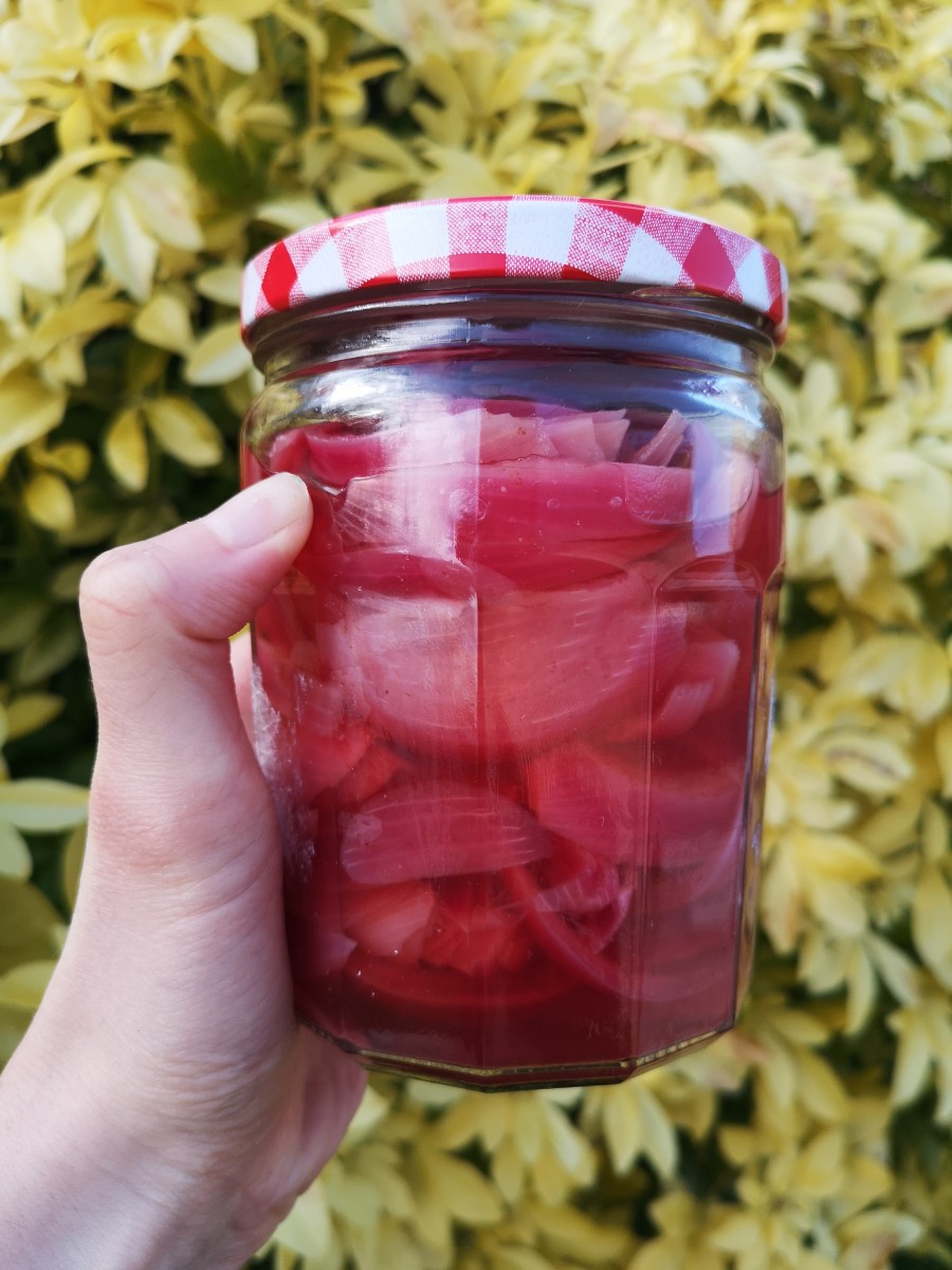 Pickles d’oignons rouges – Cuisine anti gaspi