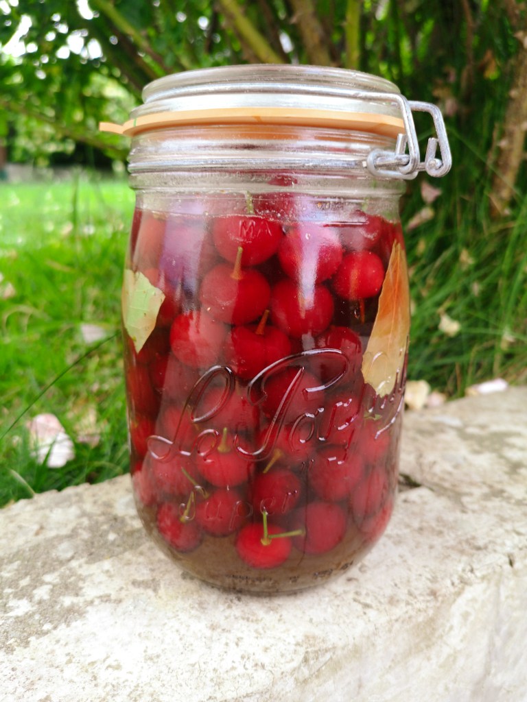 Pickles de cerises – Cuisine anti gaspi